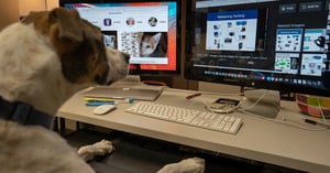 Minnesota's Premier IT & Cyber Security Company | Loffler